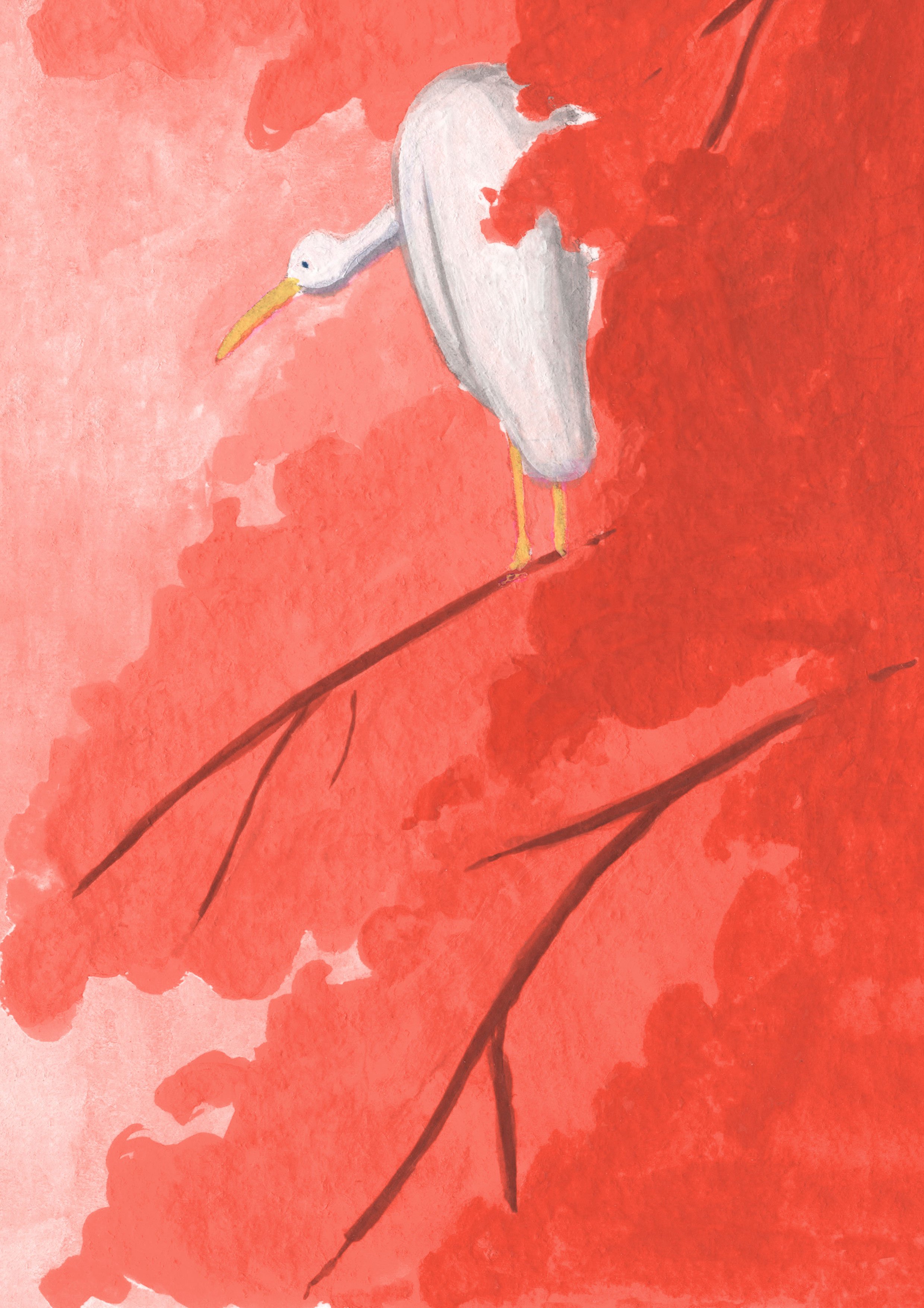 Living Coral + Spring: illustrator Daniel Frost’s Vision | Pixartprinting