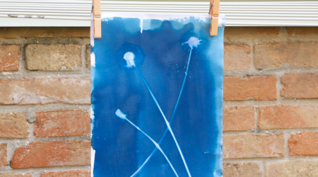 A guide to cyanotype
