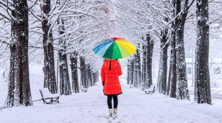 Winter palettes in colour analysis: what they are and how to create ...