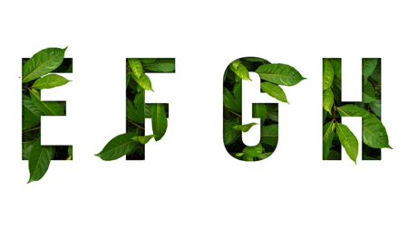 Lettering: a simple guide | Pixartprinting